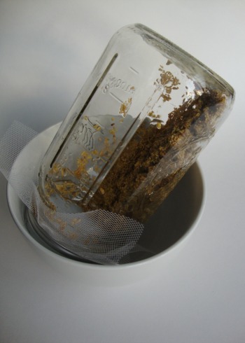 Grow Your Own Alfalfa Sprouts - TheMamasGirls