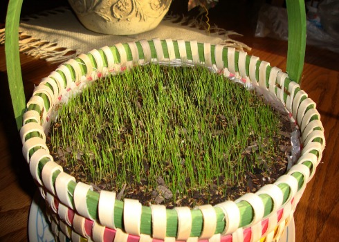 Real Grass Easter Baskets - TheMamasGirls