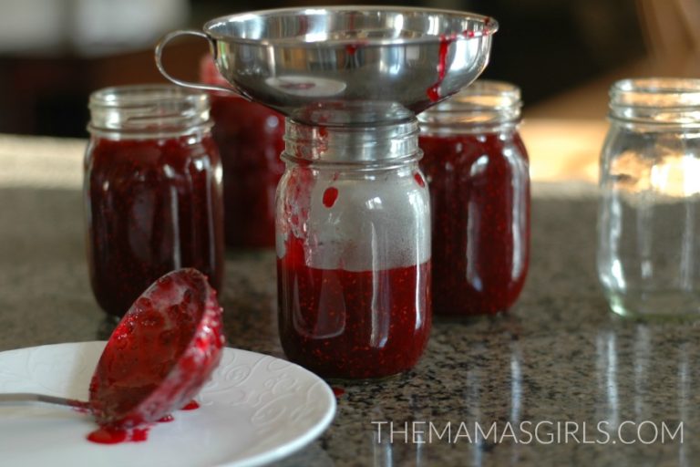 Raspberry-Pear Jam - TheMamasGirls