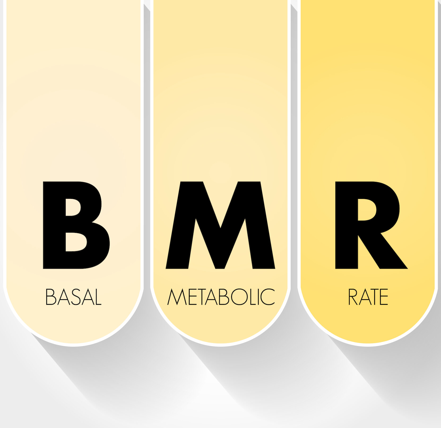 A Guide to Understanding Metabolic Age - TheMamasGirls